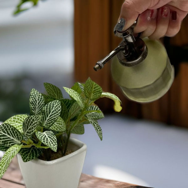 【楽天市場】スプレー プロ スプレイヤー ガラススプレイヤー 霧吹 髪 美容室 詰め替え ボトル おしゃれ 人気 容器 髪用 ガーデニング ...