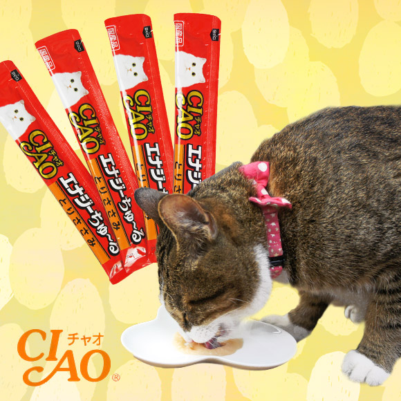 iCat | Rakuten Global Market: CIAO and liquid cat treats energy chuuru