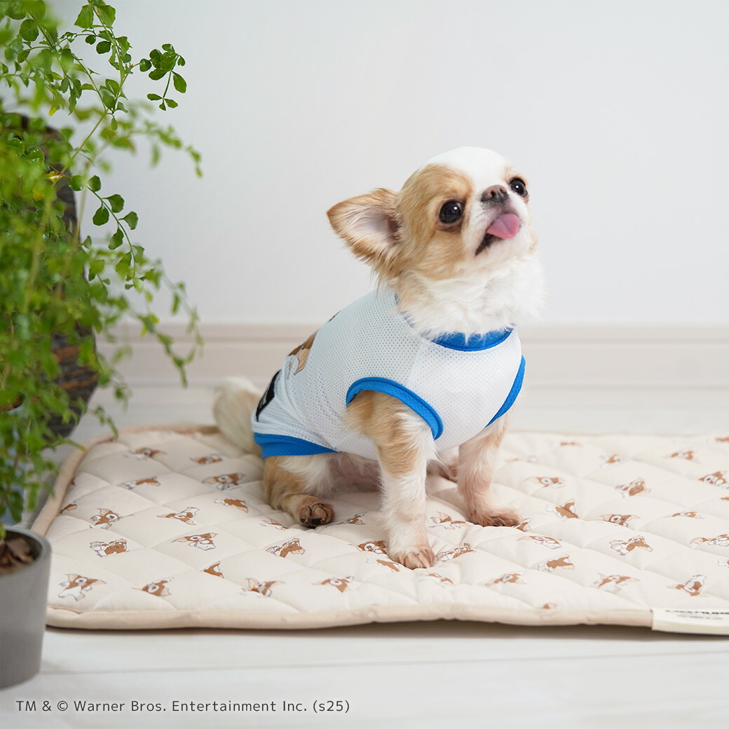 猫 マット 】IDOG&ICAT クールステイキルトマット キャラクター 接触冷感 抗菌 防臭 アイドッグ【 ひんやり クール ステイマット TOM and JERRY cool 夏用 接触 ...