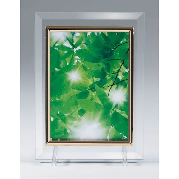 【楽天市場】(LINEクーポン有)サクラクレパス UFG-K クリスタルフレームK 2L 判平面 UFGK：iDECA 楽天市場店