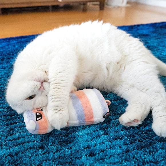 【楽天市場】【 猫 おもちゃ 】iCat iToy ケリケリ まりたん キャットニップとカシャカシャ入り アイキャット【 あす楽 翌日配送 】【 国産 布製 安全 キャットトイ 猫のおもちゃ ...