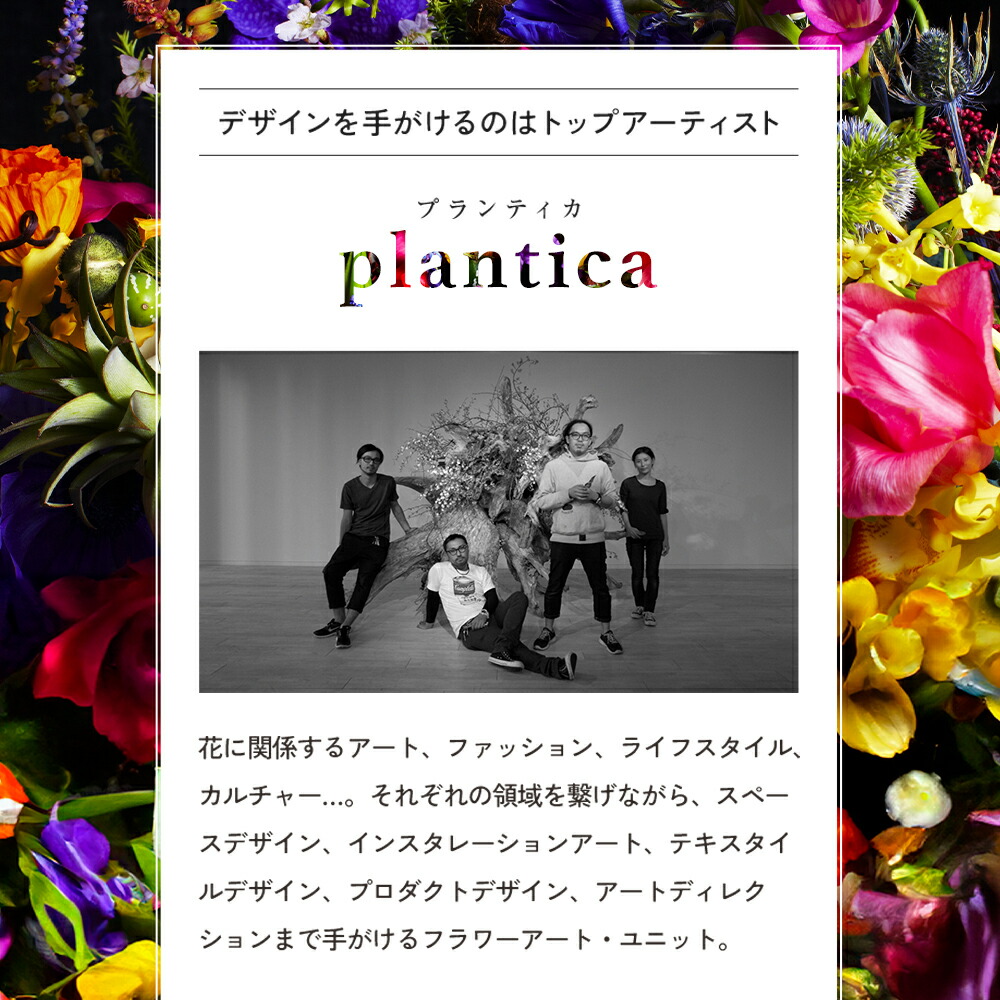 【10％OFFクーポン配布中】\シリーズ累計200万枚突破／「CelleBra セレブラ」DR METHOD ドクターメソッド 公式 医学発想 女医開発 ナイトブラ 花柄デザイン バスト補整 ...