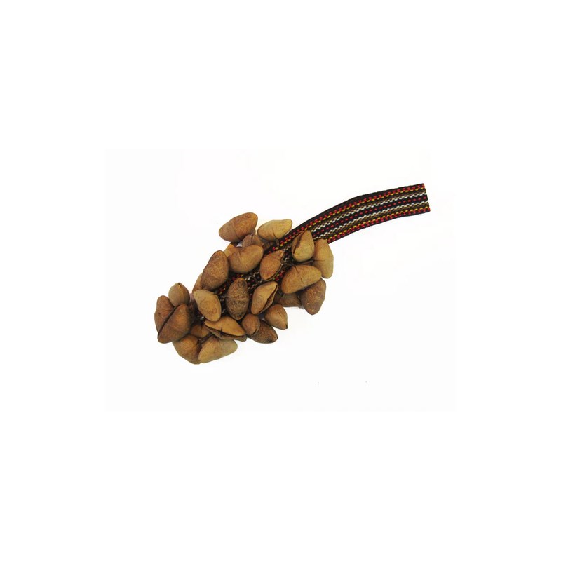 【楽天市場】TELLO TG-L01 [セミーヤ] 【アンデス楽器・ラットル】：イケベ楽器 イケシブ