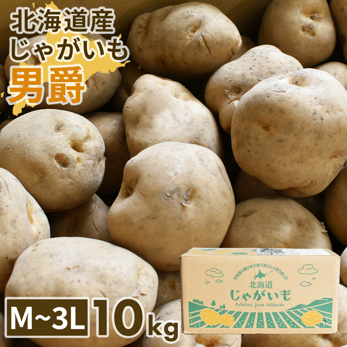 【楽天市場】北海道産男爵芋 10kg M ～ 3Lサイズ 越冬品 （男爵） コロッケやポテトサラダ、じゃがバター M L LL 2L 3L じゃがいも 10キロ 大きい：IMO企画