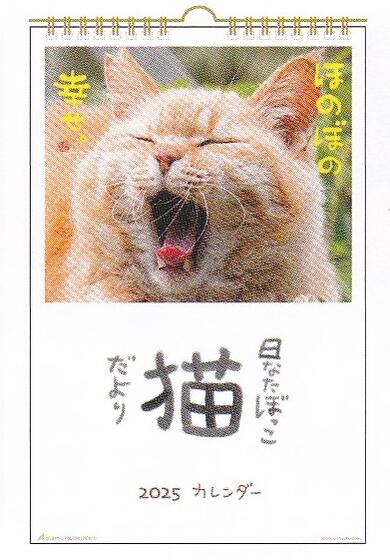 【楽天市場】 2025年日なたぼっこ猫だよりウォールカレンダー(25ACL-04)(507047)/壁掛け/アクティブコーポレーション(mail 190)：キャラクターズラボ