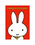 【楽天市場】 ミッフィー/ポストカード/オレンジ/CONGRATULATIONS!(BPC-410)/miffy/みっふぃー(mail 190 ...