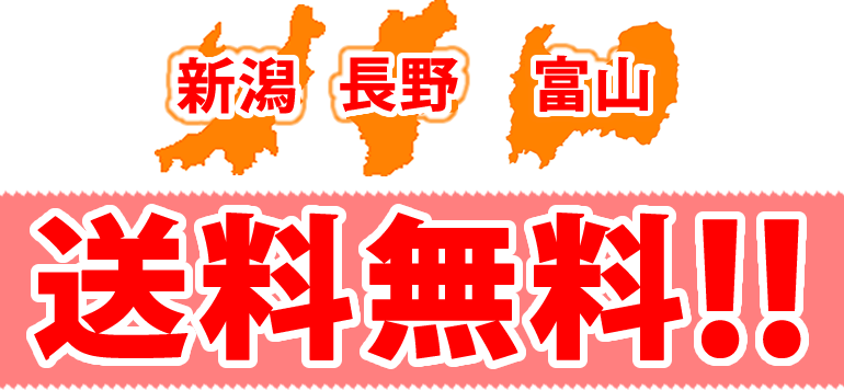 【楽天市場】倉庫 イナバ倉庫SGN-376GPN-4 一般型ジャイアント布基礎タイプ4棟タイプタイプ【新潟・長野・富山限定販売】【お客様組立商品】：イナバ物置専門店上越スチール販売