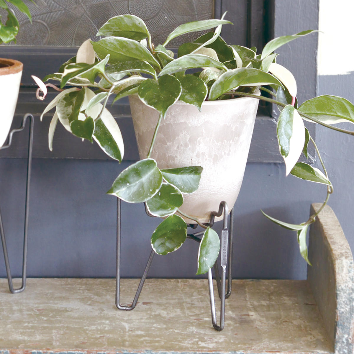 【楽天市場】プランタースタンド インダストリアルポットスタンド トリオ S （ 花台 スタンド スチール プランター台 プラントスタンド ...