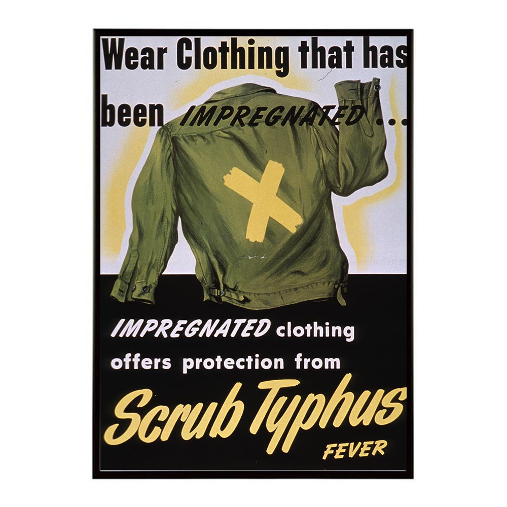 【楽天市場】Scrub_typhus_fever超古いポスター 復刻 デジタルリマスター 古典 アンティーク 中世 昭和 大正 歴史 ...