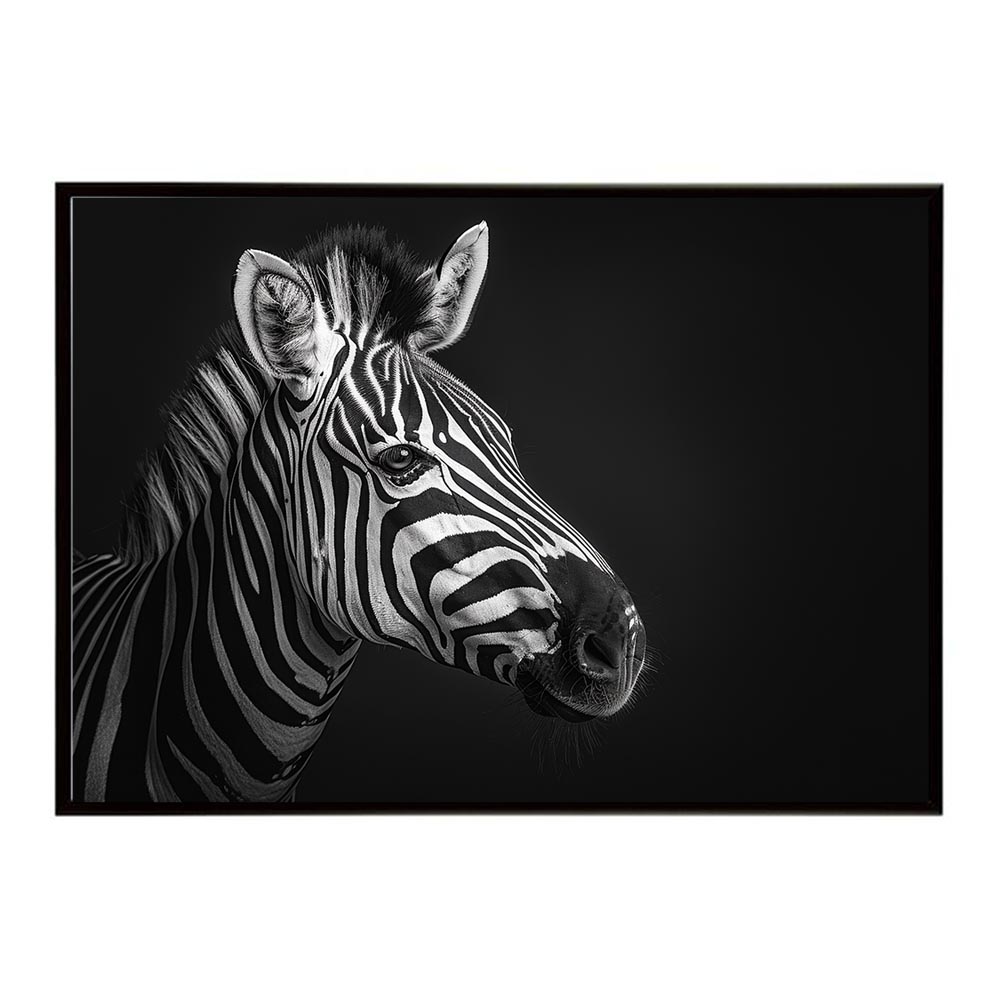 【楽天市場】Zebra シマウマ ゼブラ サバンナ アフリカ 草原 自然 ネイチャー 動物 アニマル 野生動物 写真 馬ポスター インテリア ...