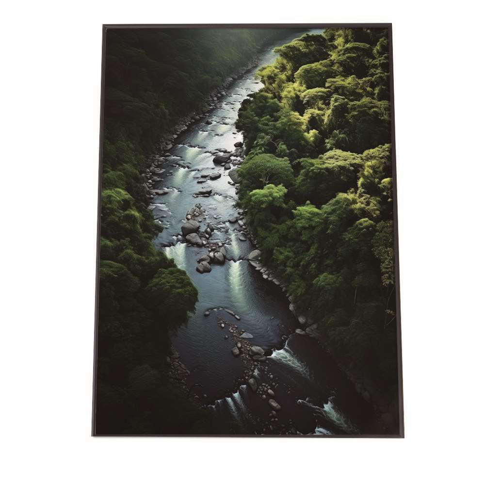 【楽天市場】ポスター ジャングル 植物 景色 上空映像 緑 自然 森 林 木 草 葉っぱ シンプル オシャレ お洒落【lh-poster ...