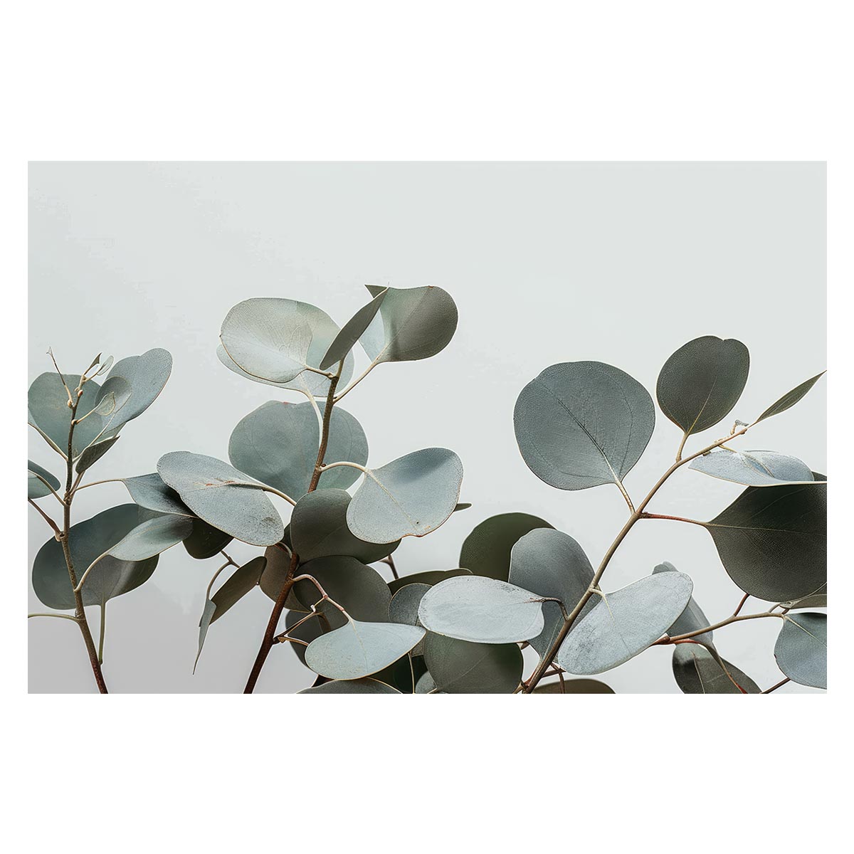 【楽天市場】植物 グリーン 葉っぱ 観葉 ポスター ボタニカル 草 自然 用紙とサイズが選べる インテリア おしゃれ プリントポスター フォト ...