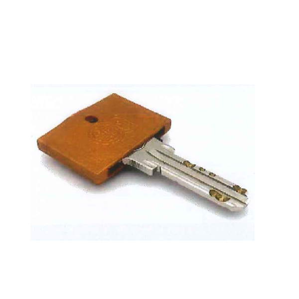 【楽天市場】Plapper 銅配合特殊プラスチック キーカバー C-03P：イーヅカ