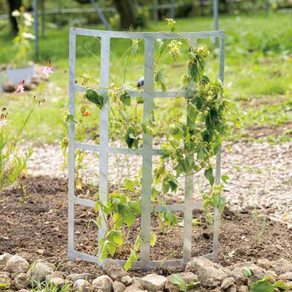 【楽天市場】オンリーワンクラブ ガーデンサポート （S） RT3-TN007：イーヅカ