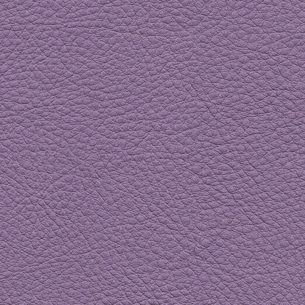 【楽天市場】サンゲツ 椅子生地 L-Texture カラーレザー UP5108 有効巾122cm 10cm長：イーヅカ