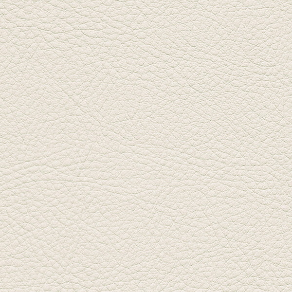 【楽天市場】サンゲツ 椅子生地 L-Texture カラーパレット2 UP5157 有効巾137cm 10cm長：イーヅカ