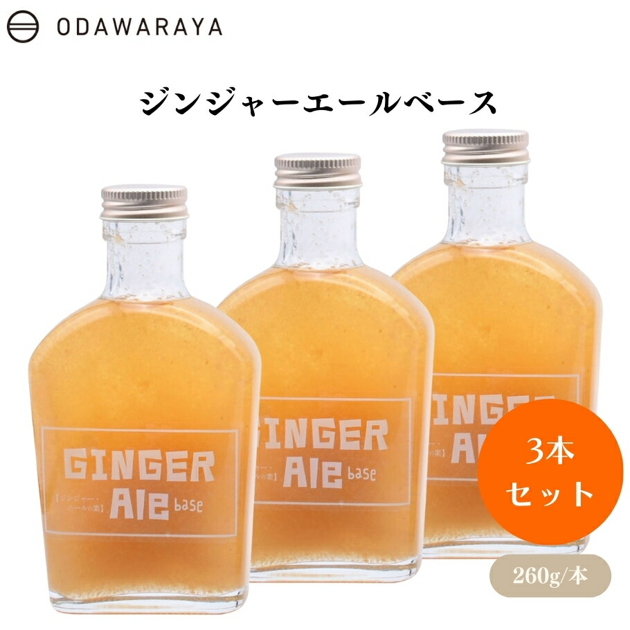 【楽天市場】【1/9～15限定最大600offクーポン】ジンジャーエールベース 260g x3本 国産生姜 爽やか 大人向け 炭酸水 お湯 冷温両用：彩食健美