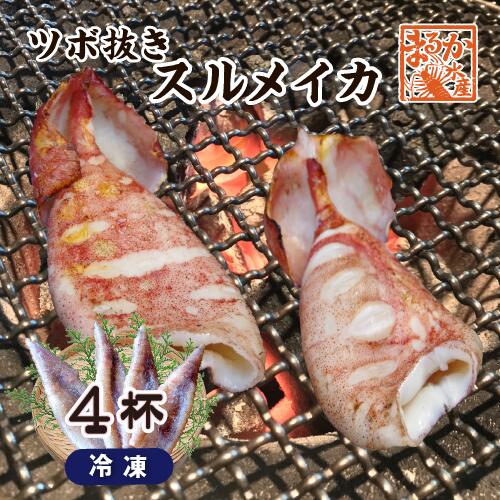 【楽天市場】冷凍 スルメイカ（ツボ抜き）4杯 [魚介類]：まるか水産楽天市場店