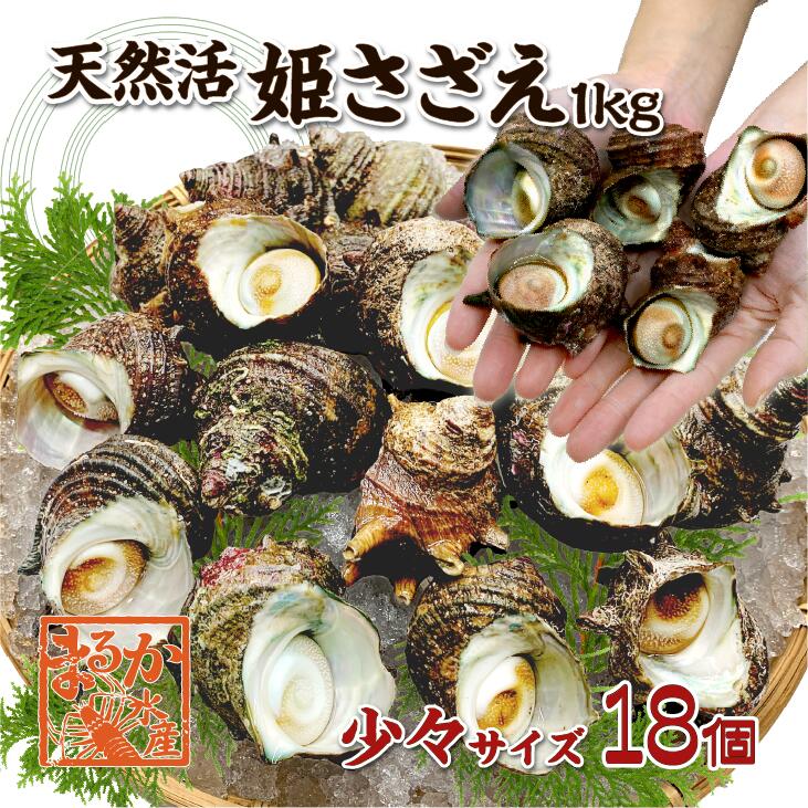 【楽天市場】天然活 姫さざえ 少々サイズ 1kg 18個 40～60g [さざえ]：まるか水産楽天市場店