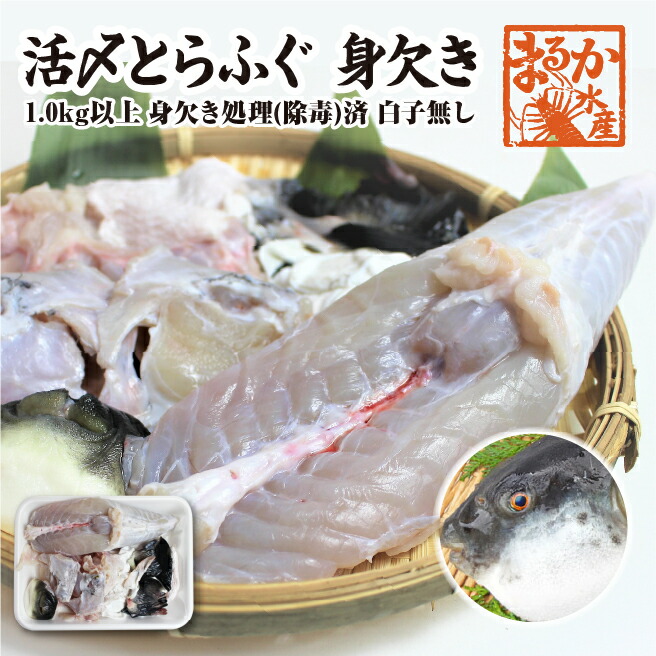 【楽天市場】活とらふぐ身欠き 1.0kgサイズ 身欠処理（除毒）済/ 白子は入っていません [活河豚]：まるか水産楽天市場店