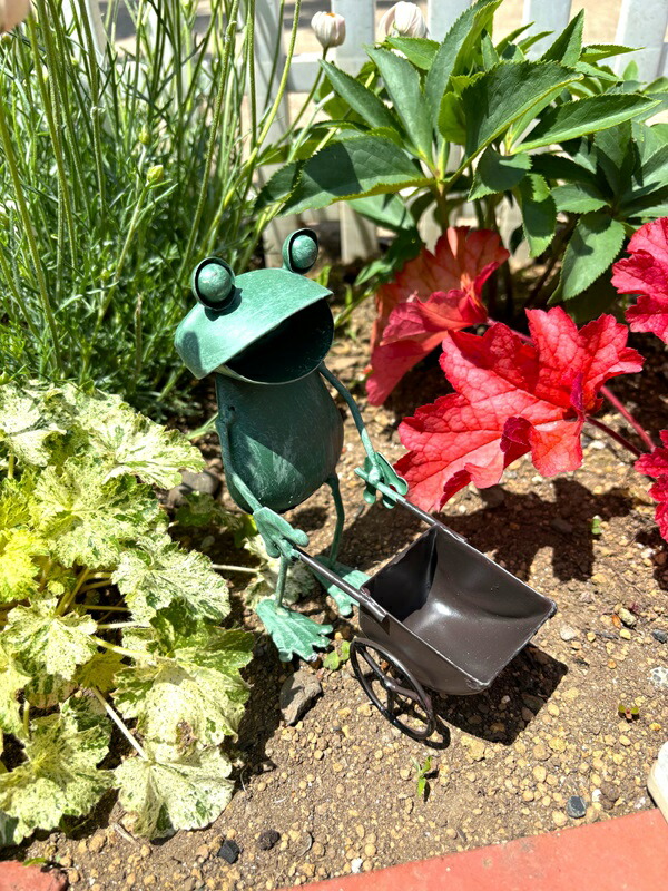 【楽天市場】MURATAYAカエルプランターカート 4816：Ivy