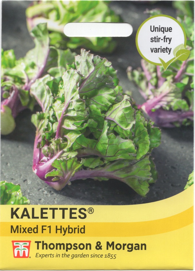 【楽天市場】【種子】Thompson & Morgan Kalettes Mixed F1 Hybrid ケレッツ ミックス ハイブリッド ...