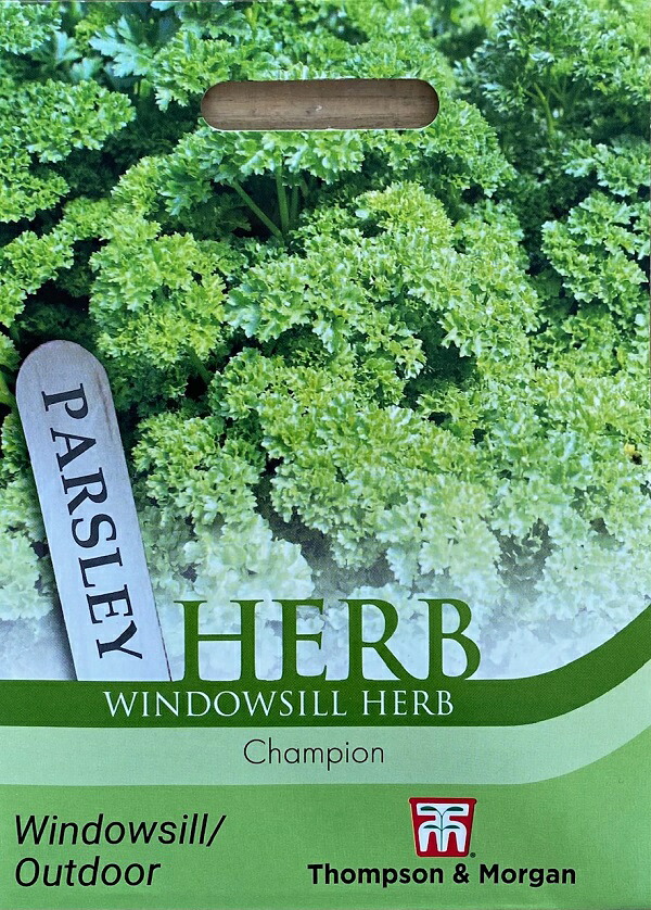 【楽天市場】【種子】Thompson & Morgan Parsley 'Champion' パセリ 'チャンピオン' トンプソン＆モーガン：Ivy