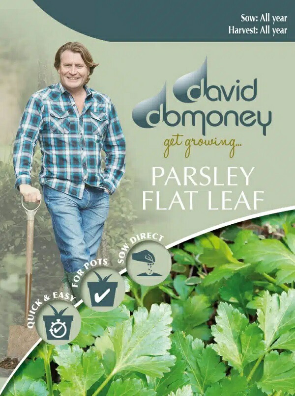 【楽天市場】【種子】Mr.Fothergill's Seeds david domoney PARSLEY Plain Leaved 2 ...