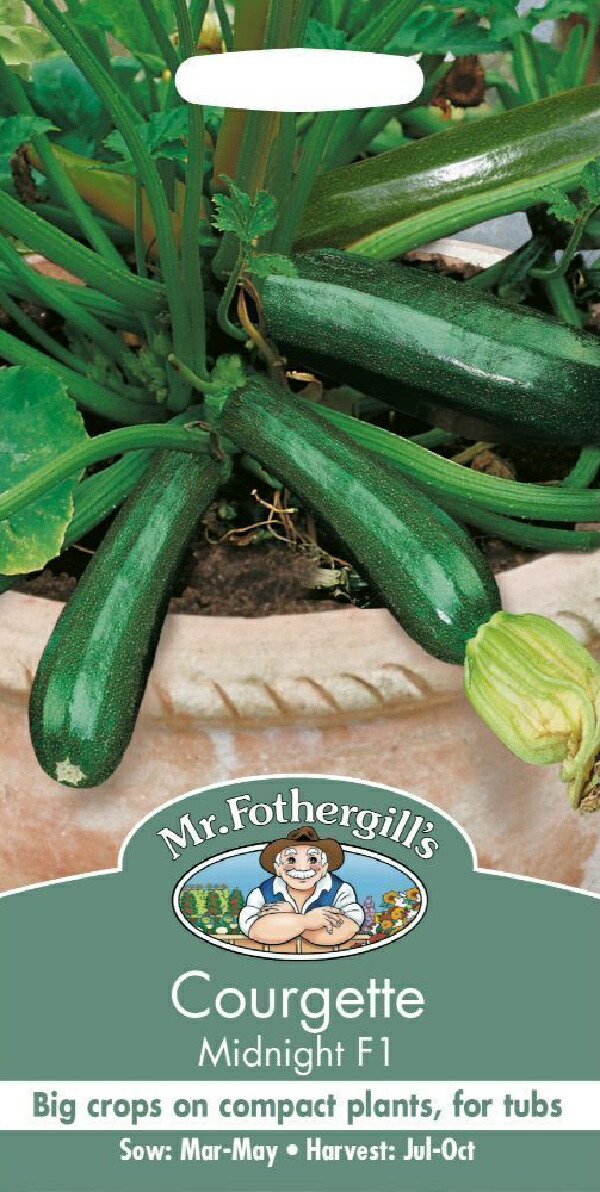 【楽天市場】【種子】Mr.Fothergill's Seeds Courgette Midnight F1 クルジェット（スカッシュ ...