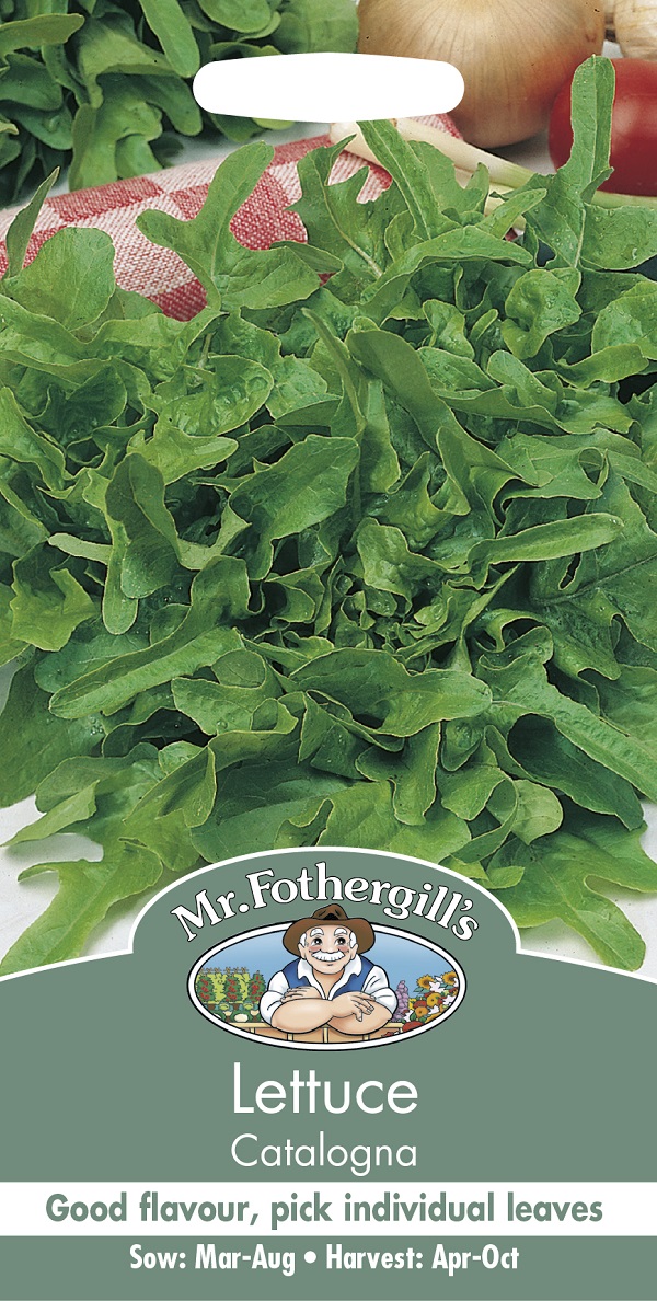 【楽天市場】【種子】Mr.Fothergill's Seeds Lettuce Catalogna レタス・カタログナ ミスター・フォザーギル ...