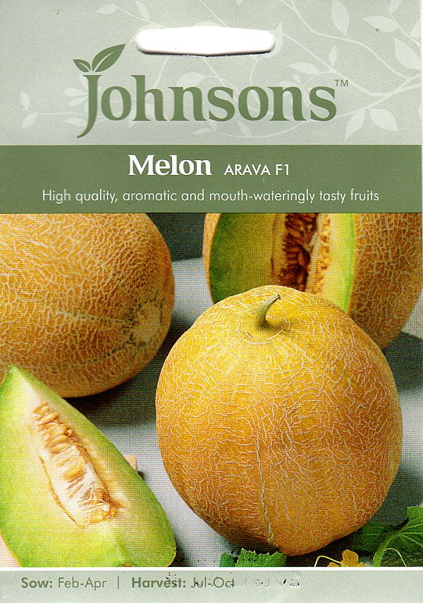 【楽天市場】【種子】Johnsons Seeds Melon Arava F1 メロン アラヴァ・F1 ジョンソンズシード：Ivy