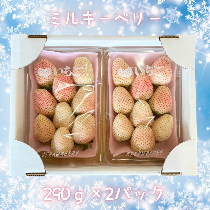 【楽天市場】栃木県産 白いちご ミルキーベリー 約290g×2パック 合計約580g 苺 イチゴ 送料無料 冷蔵便 亀山農園ミルキー：JA佐野 楽天市場店