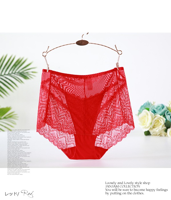 【楽天市場】メール便対応 大きいサイズ レディース ショーツ 下着 レース切り替え ボックスショーツ 透けレース カラバリ豊富 インナー LL ...