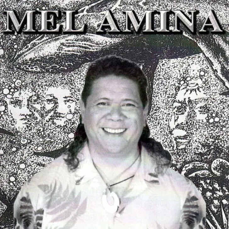 【楽天市場】【中古】Hawaiian ハワイアン Hula CDMel Aminaメル アミナ：JayHawaiianMusic