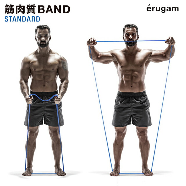 【楽天市場】【erugam】筋肉質BAND スタンダード 54154【うちトレ トレーニングバンド ブルー ゴムバンド 筋トレ 太もも 下半身運動 全身運動 エクササイズ フィットネス 体幹 ...