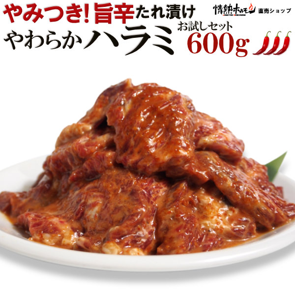 【楽天市場】やみつき 旨辛たれ漬け やわらか ハラミ 600g お試しセット 焼肉 BBQ バーベキュー 肉 小分け 情熱ホルモン 情ホル 食品 にく 北海道沖縄配送は別途送料追加：情熱 ...