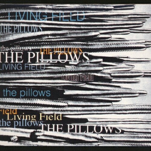 【楽天市場】LIVING FIELD/the pillows[CD]【返品種別A】：Joshin web CD／DVD楽天市場店