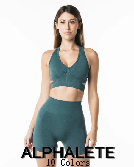 【楽天市場】ALPHALETE アルファリート スポーツブラ 海外ブランド スポブラ 大きいサイズ スポーツブラ ハイサポート 揺れない スポブラ 着脱カップ ジム ヨガウェア Vネック ブラ ...