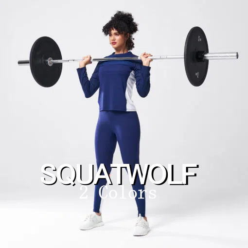 【楽天市場】SQUAT WOLF スクワットウルフ Tシャツ レディース 大きいサイズ スポーツウェア Tシャツ レディース ジム 筋トレ ヨガ 長袖 ストレッチ メッシュバックパネル ラボ ...
