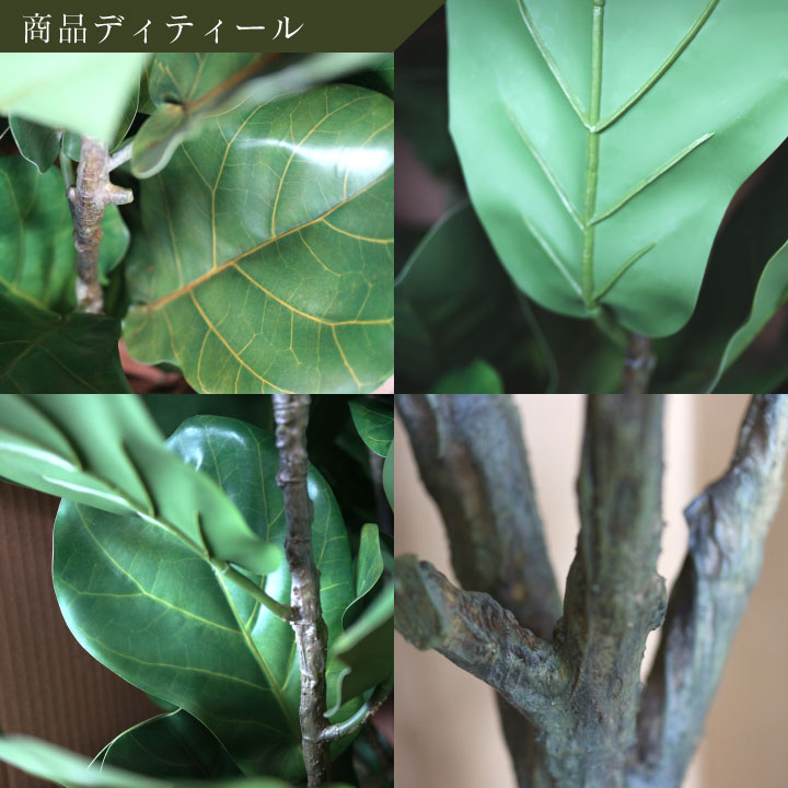 【楽天市場】大型 フェイクグリーン「フィカス（ファイカス） 152cm シルカ（Silk-ka）」おしゃれ リアル 人工観葉植物 樹木 ...