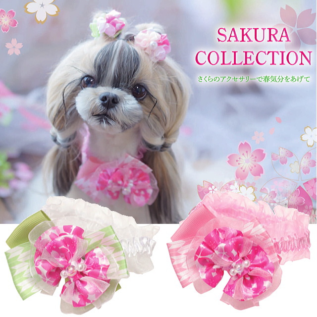 【楽天市場】桜 犬 チョーカー CanNana 【きゃんナナ】さくらシュシュアクセ SS-Lサイズ NNR449 SAKURA 花見 イベント：犬服通販＊じゃんぐるぺっと