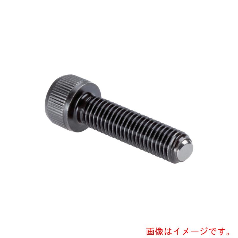 【楽天市場】【メール便対応】ロームヘルド・ハルダー HALDER セッティングスクリュー ヘッド付セレーション無 ピン径 M6 ピン長さ20 【品番：22700.0062】：住設プロ 楽天市場店