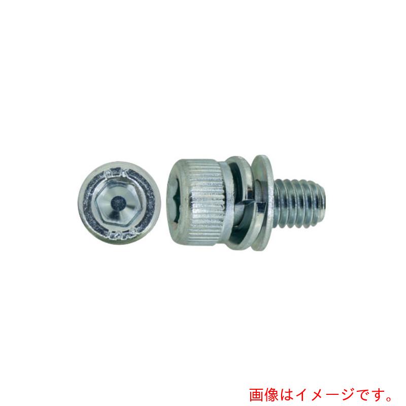 【楽天市場】サンコーインダストリー（SUNCO） 三価ホワイト 10．9CAP P＝4 岡井鉄工所製 6 X 15 （200本入） 【品番 ...