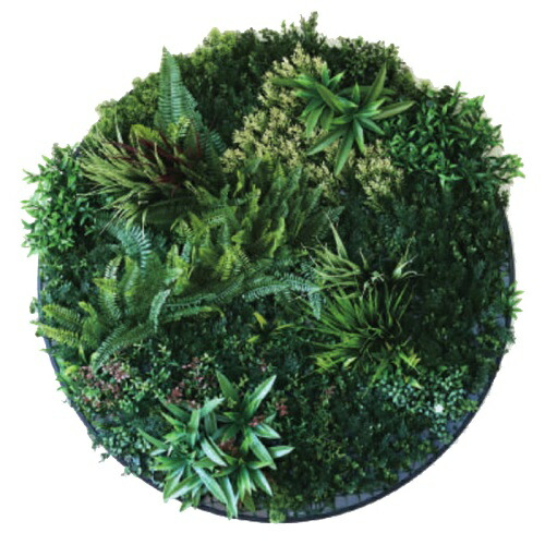 【楽天市場】人工観葉植物 グリーンウォールラウンド 100（1個入り）992880 壁面緑化 ウォールグリーン インテリア フェイクグリーン ...