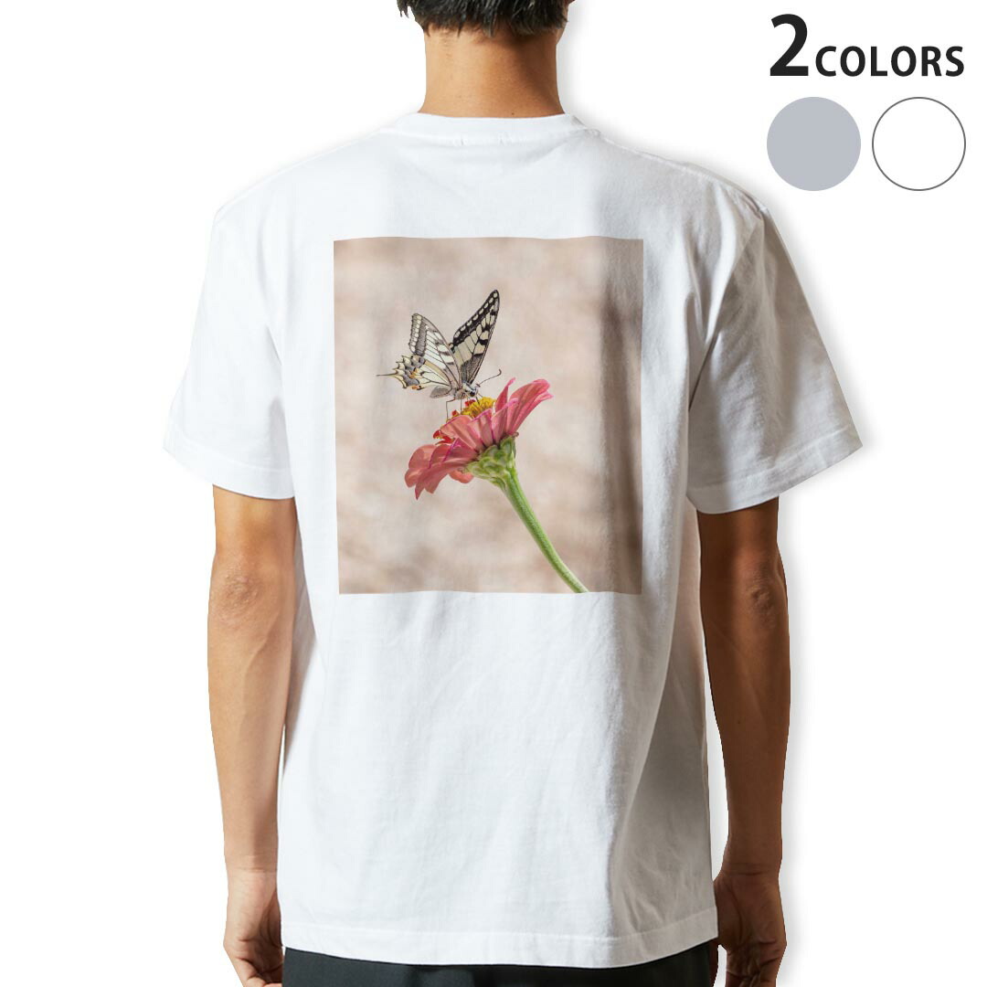 【楽天市場】Tシャツ メンズ バックプリント半袖 ホワイト グレー デザイン XS S M L XL 2XL tシャツ ティーシャツ T ...