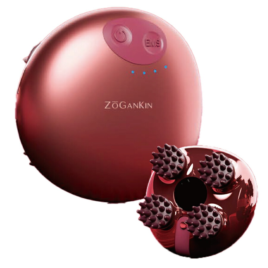 【楽天市場】ゾーガンキンスカルプ 15周年アニバーサリー限定エディション ZOGANKIN SCALP スカルプブラシ 頭皮ブラシ マッサージ ...