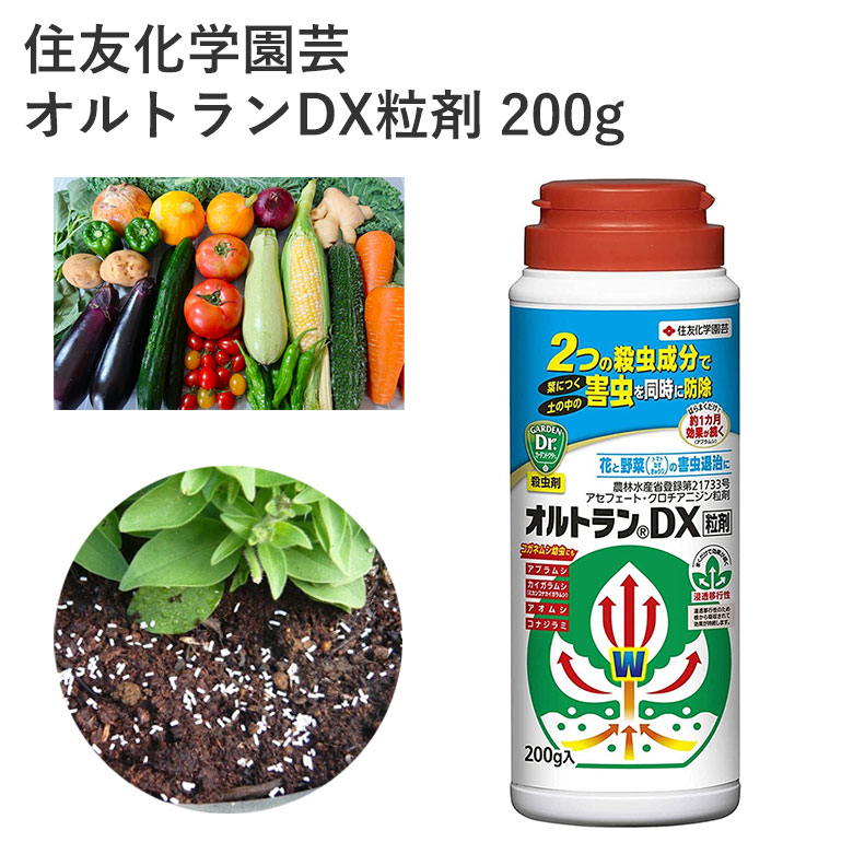 【楽天市場】住友化学園芸 オルトランDX粒剤 200g 殺虫剤 粒剤 害虫 効果持続 農薬 園芸用品 農業資材 農業用品 家庭菜園 ガーデニング ガーデニング用品 ガーデン 花 野菜 樹木 ...