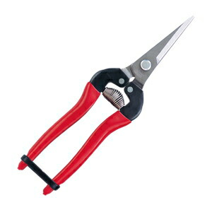 【楽天市場】アルスコーポレーション 摘果鋏ロングタイプステンレス（ブリスターパック） 300L-DX-BP：ケンチクボーイ