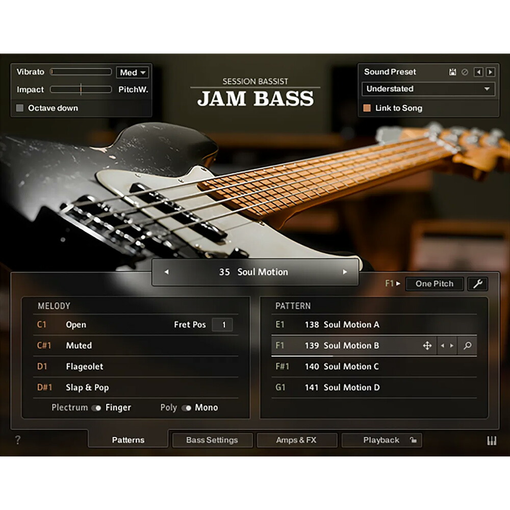 【楽天市場】Native Instruments Session Bassist - Jam Bass [メール納品]：MUSICLAND ...