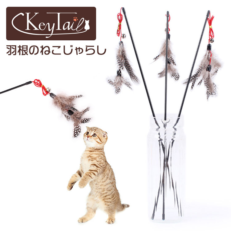【楽天市場】\GWは5％OFF！＆P5倍！／ 猫じゃらし ねこじゃらし 猫 ねこ 猫用 おもちゃ 動物 遊ぶ 雑貨 天然 天然羽根 遊び ペットグッズ ペット用品 運動不足解消 ストレス発散 ...